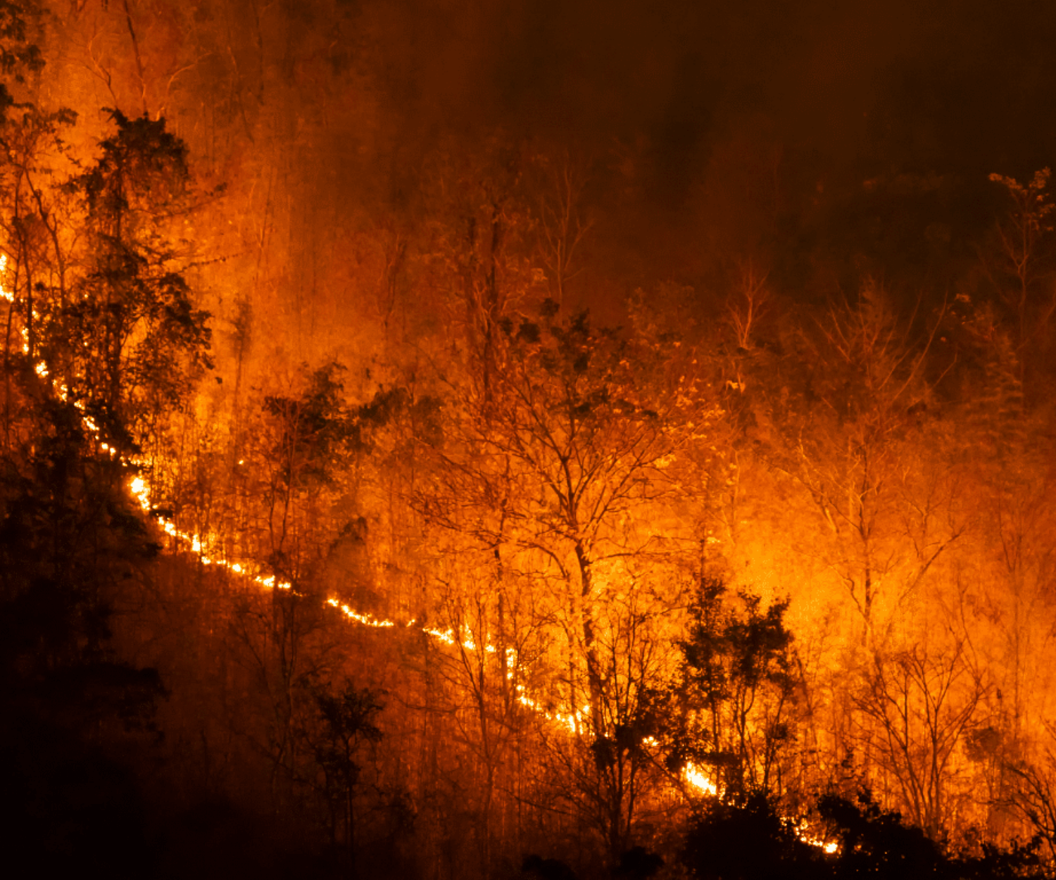 Industrial Firefighting | GreenFire® Fire Protection 2025